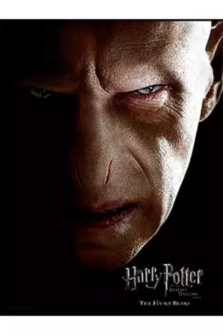Comprar Poster De Vidrio Cara Voldemort 30X40 Harry Potter Estándar ...